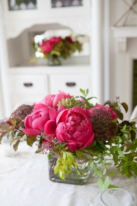 Plus One Dinner Party