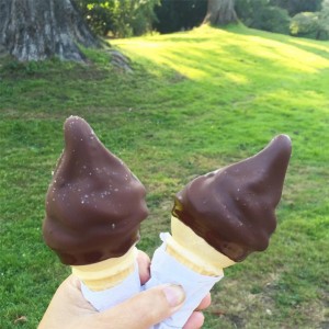 4 Tips for Hosting an Ice Cream Crawl