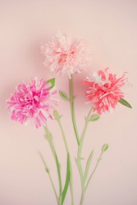 Tissue Paper Carnation Place Cards + Favors DIY