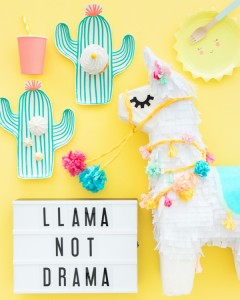 Llama Pinata Makeover